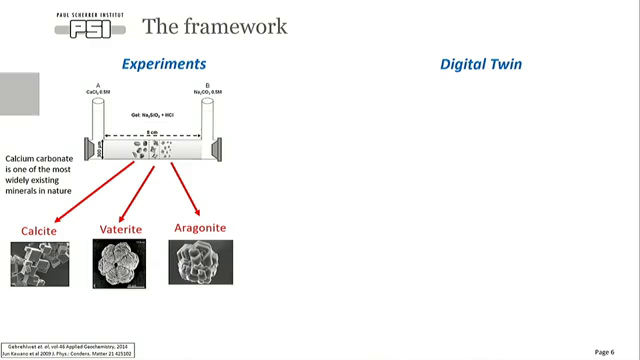 Videos - Geochemical Digital Twin: Mesoscopic Modelin…