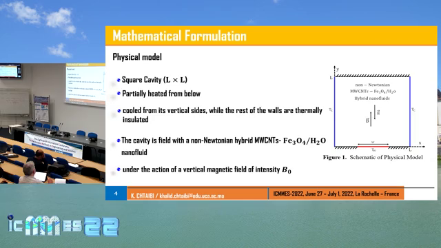 Videos - Double Mrt-Lbm Analysis Of The Coupled Radia…