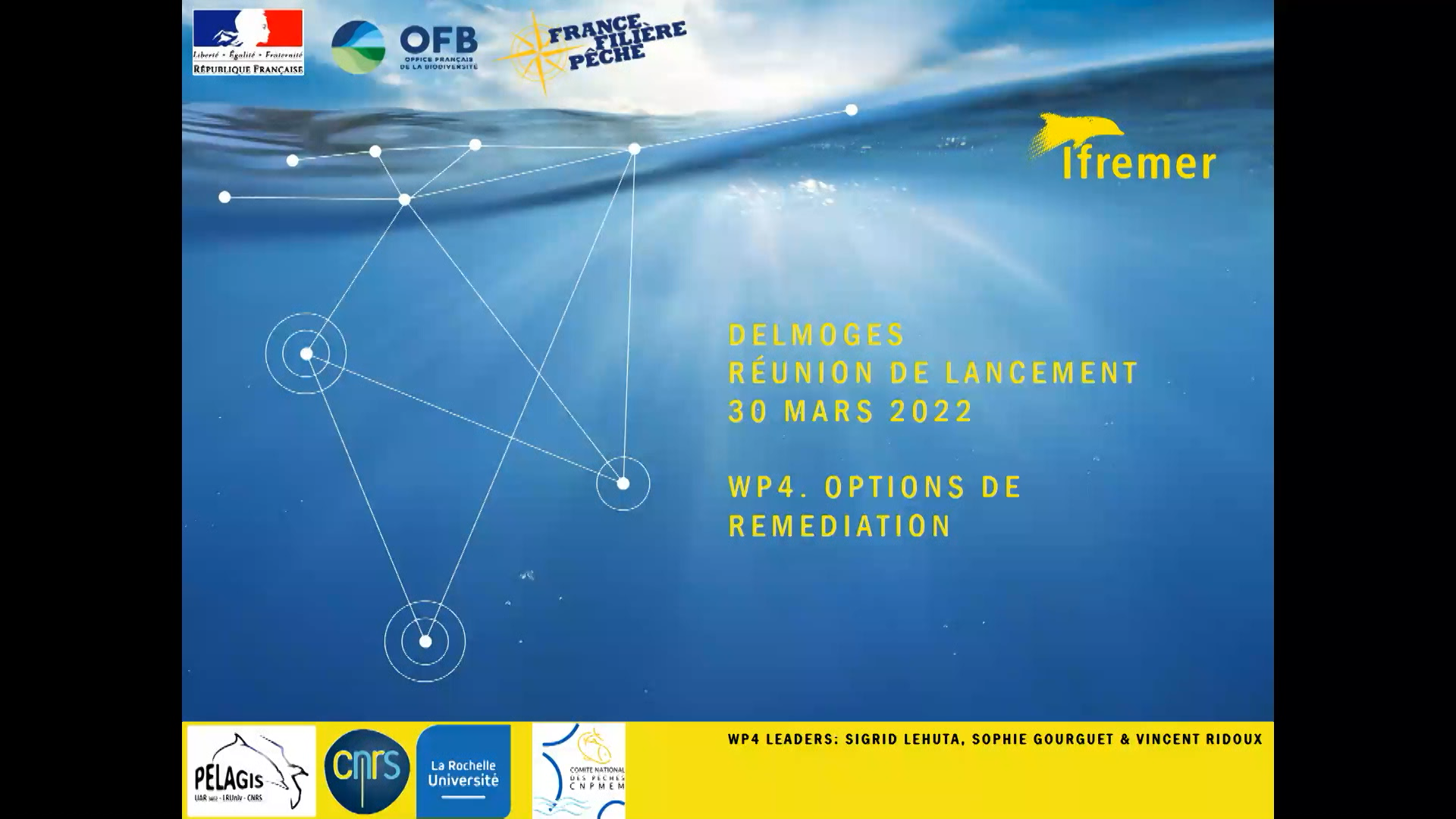 Videos - Présentation Du Wp4 : Scénarios Et Options D…